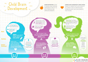 How a child’s brain development over the years?