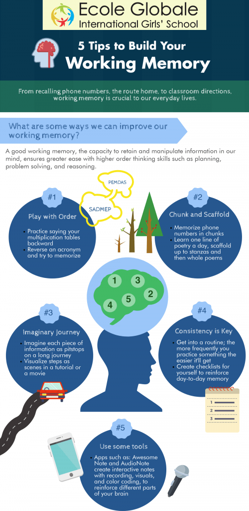 How to build your working memory
