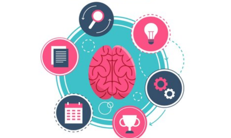 How a child’s brain development over the years?