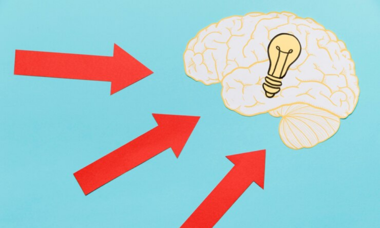 How a child’s brain development over the years?