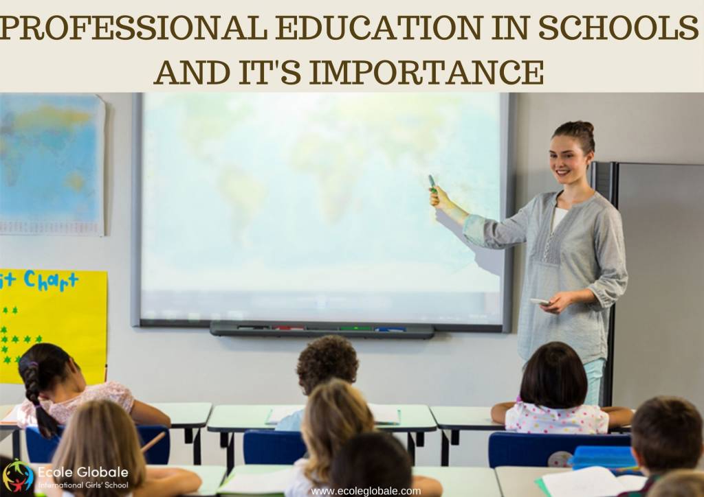 PROFESSIONAL EDUCATION IN SCHOOLS AND IT'S IMPORTANCE
