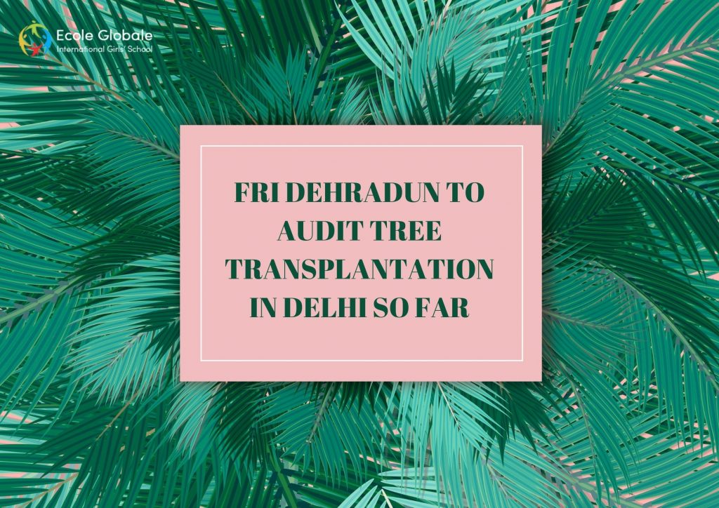 FRI Dehradun to Audit Tree Transplantation | Ecole Blog