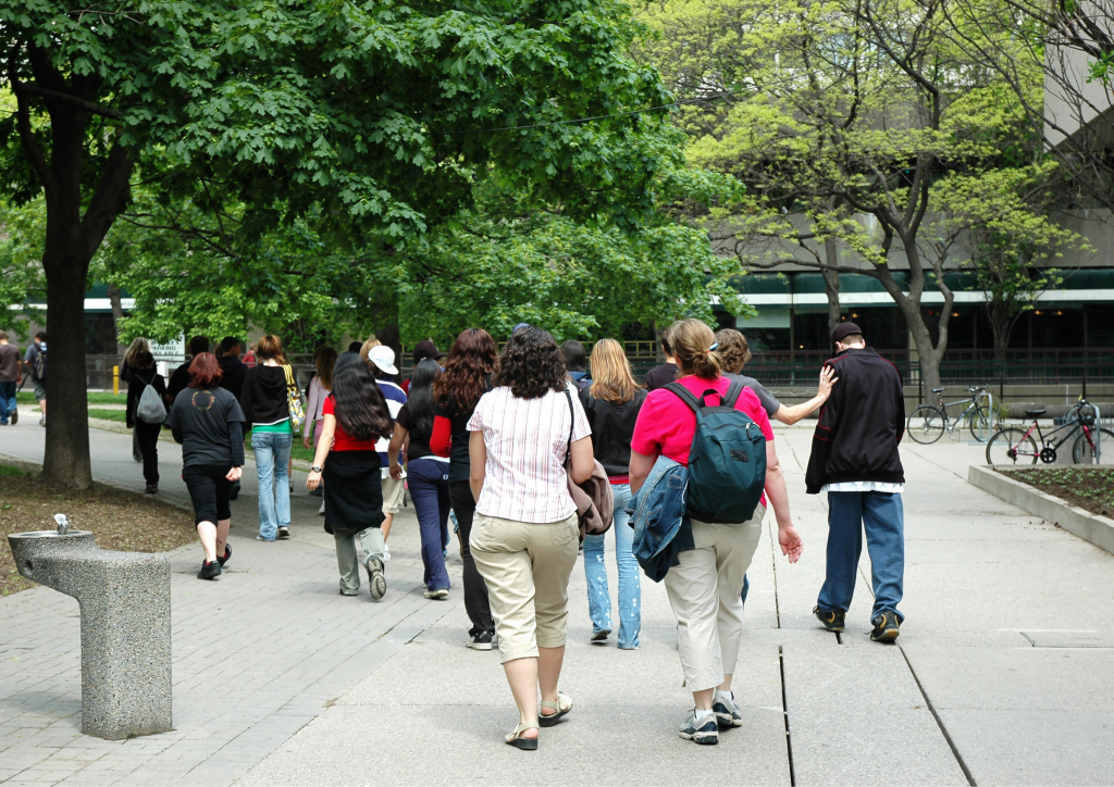 How to organize trips if you are a student