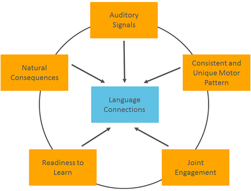 The Difference Between Learning Management Systems And LAMP