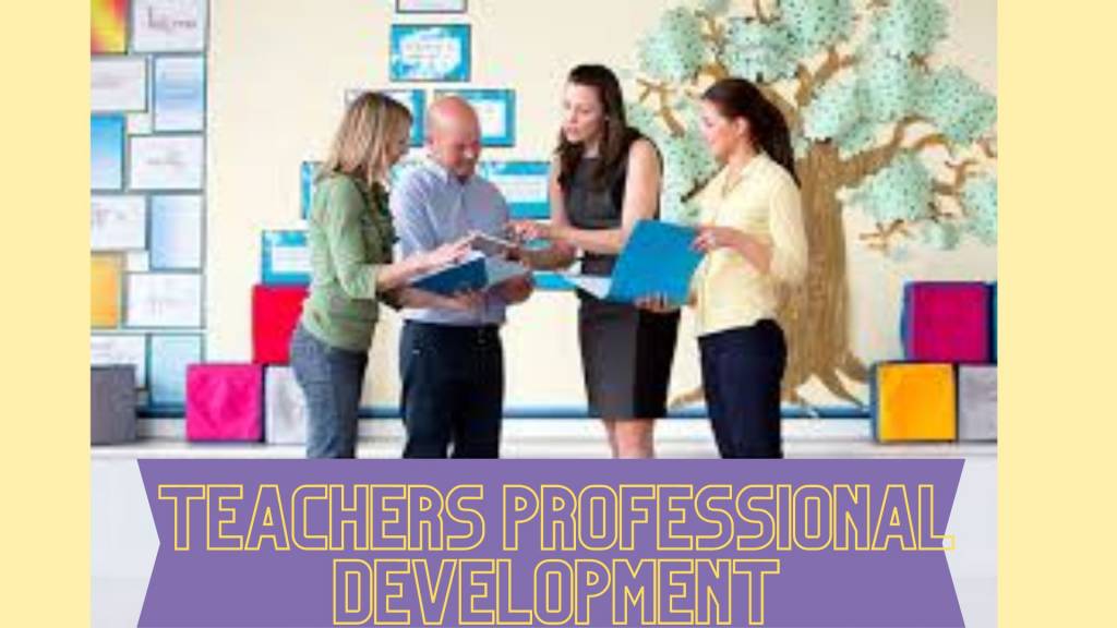 How to promote Professional development to another level