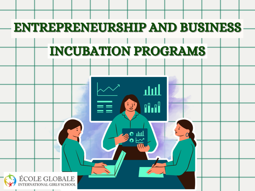 Incubation Program: Entrepreneurship and Business in School
