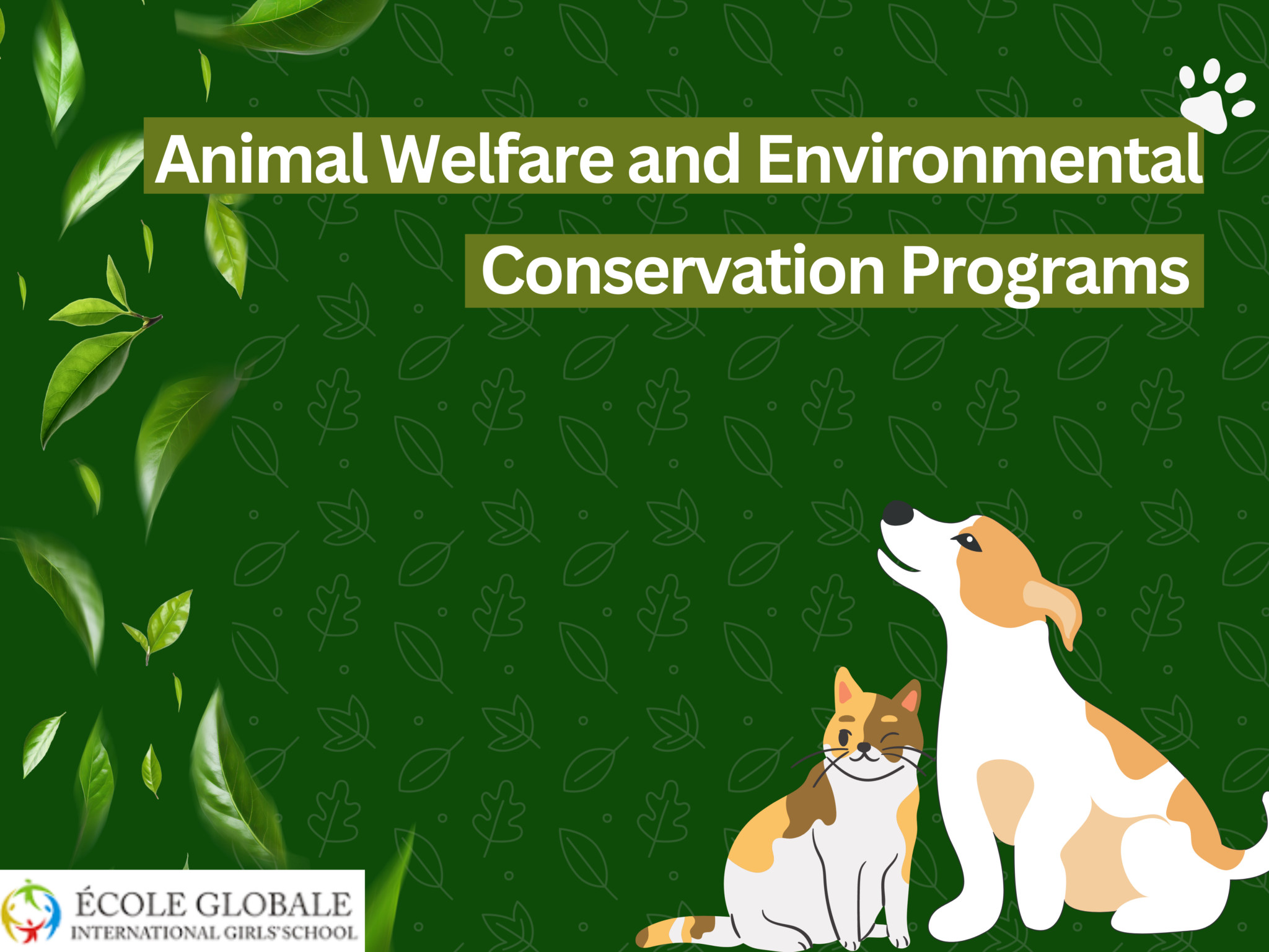 Animal Welfare and Environmental Conservation Programs